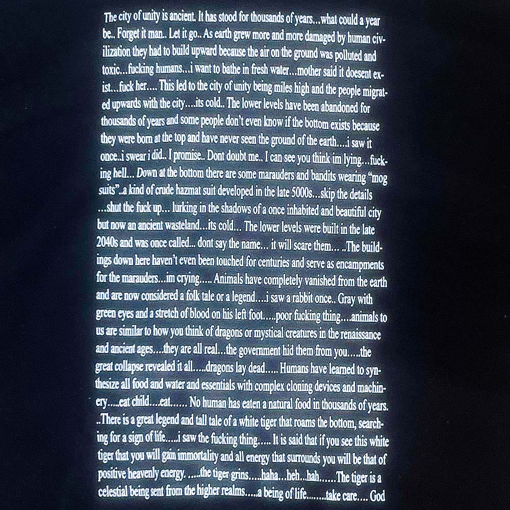 WHITE TIGER (LORE) T-SHIRT – 2hollis